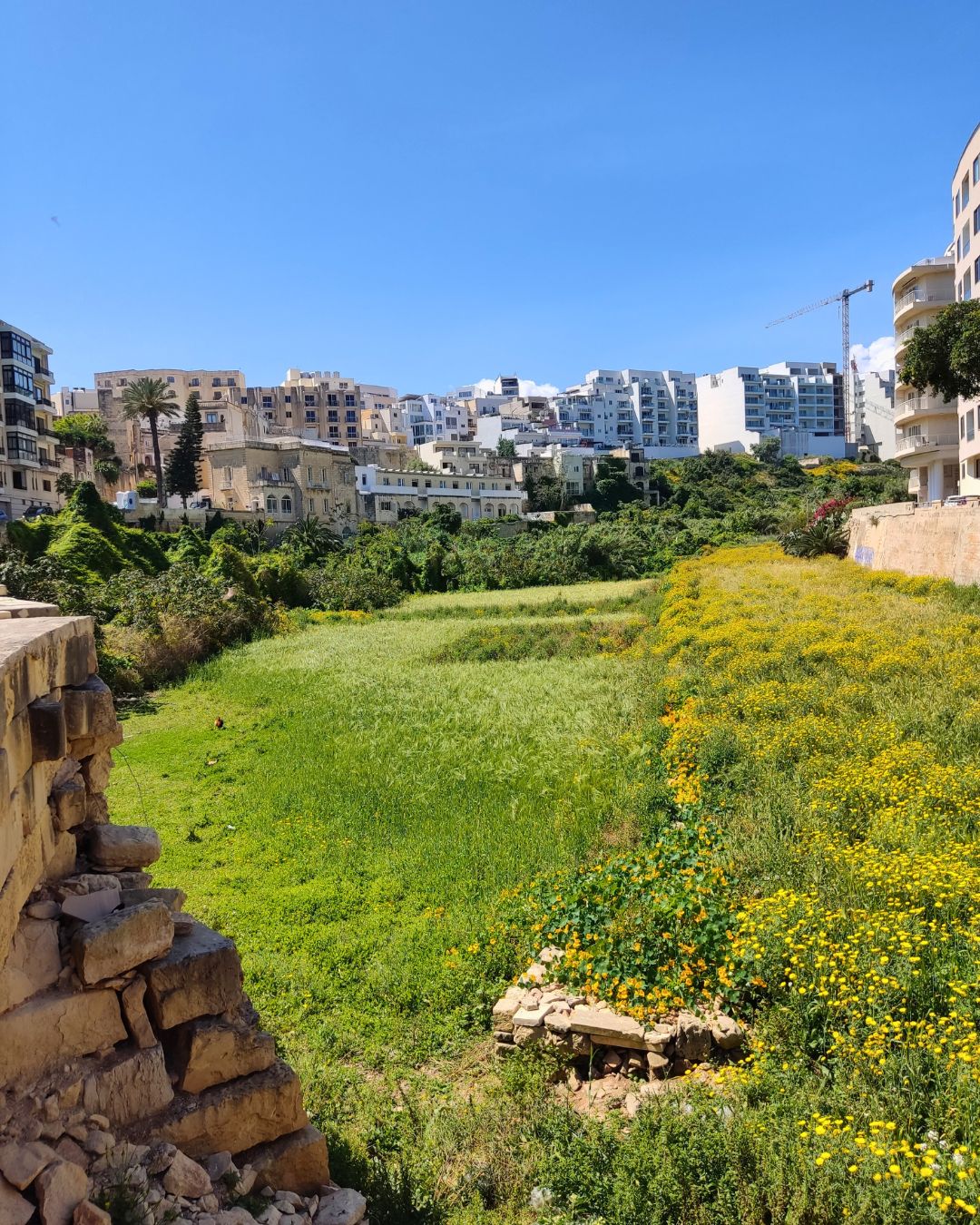 Learn English in the Beautiful Balluta Bay - Maltalingua School of ...